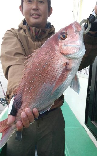 【釣果速報】でか～～～～い！茨城県長岡丸で4.21kgのマダイキャッチ！現在、中～大鯛メインにコンスタントに釣れてる模様です！