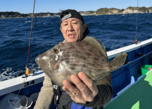 【釣果速報】31cmのデカハギをキャッチ！神奈川県大松丸の船長が厳選したポイントで人生最大のカワハギを捕まえよう！｜釣りまとめアンテナ