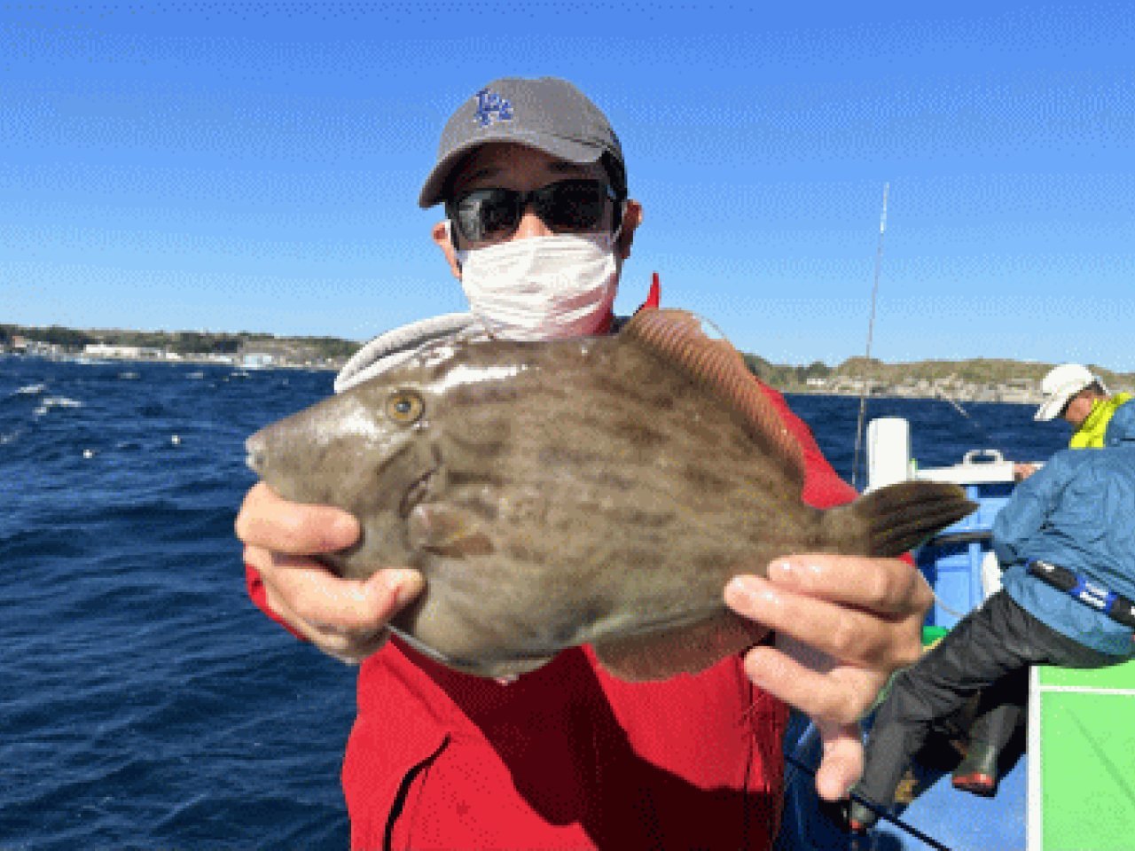【釣果速報】31cmのデカハギをキャッチ！神奈川県大松丸の船長が厳選したポイントで人生最大のカワハギを捕まえよう！ « 釣りまとめアンテナ