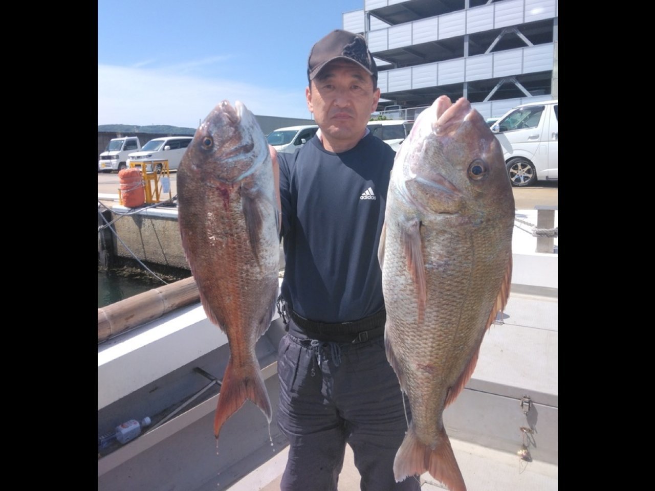 【釣果速報】福岡県木鶏丸で80cmの巨大マダイ上がる！レンコ・アオナも数釣れ絶好調！｜釣りまとめアンテナ