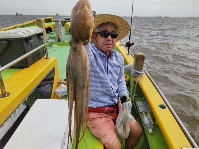 【釣果速報】3.43kgのモンスターマダコ確保！神奈川県鴨下丸kawanaの船長が厳選するポイントで記録更新マダコを釣ろう！ « 釣りまとめアンテナ